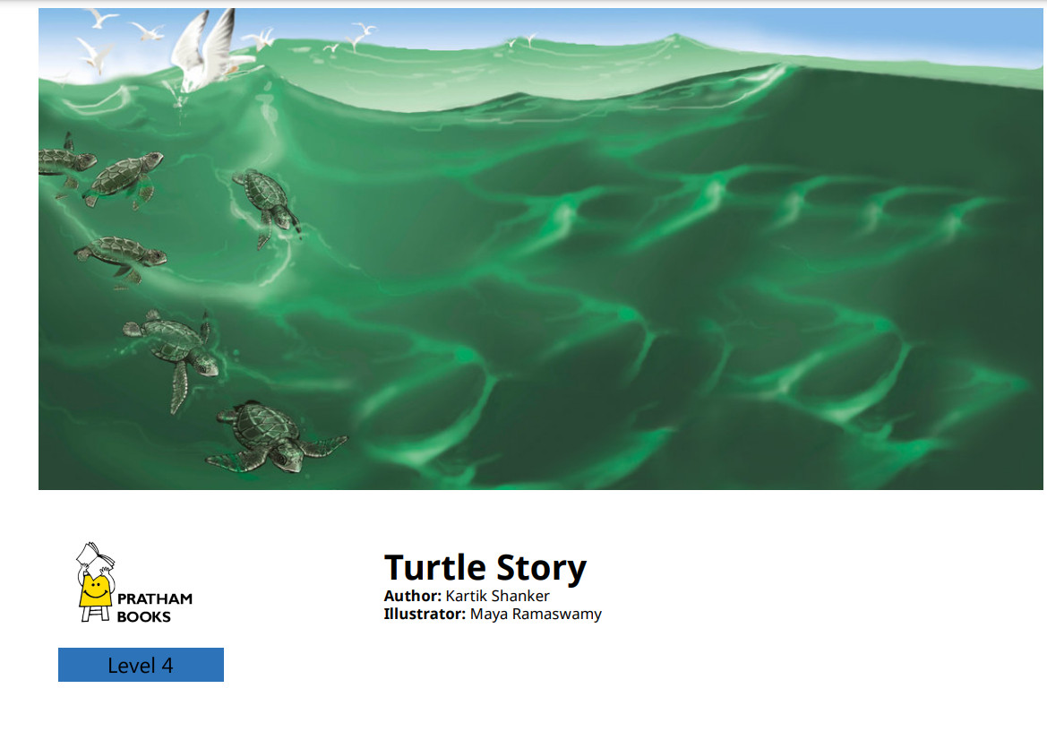 Turtle Story
